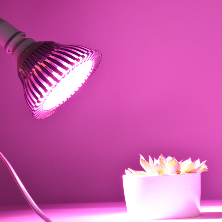 led plant grow bulb e27,730nm led grow lights for marijuana smd 3030