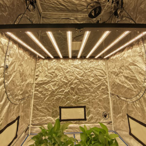 Foldable LED Grow Lights for Indoor Plants - SEVEN COLORS Co.,LTD