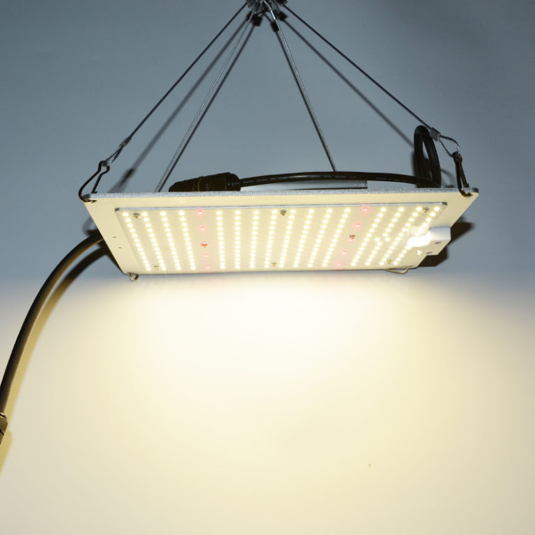 Quantum Board LED Grow Light Full Spectrum 100W-600W - SEVEN COLORS