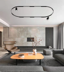 Magnetic Track Lighting System